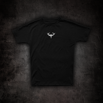 SHIRTS – AuspiciousBLVD